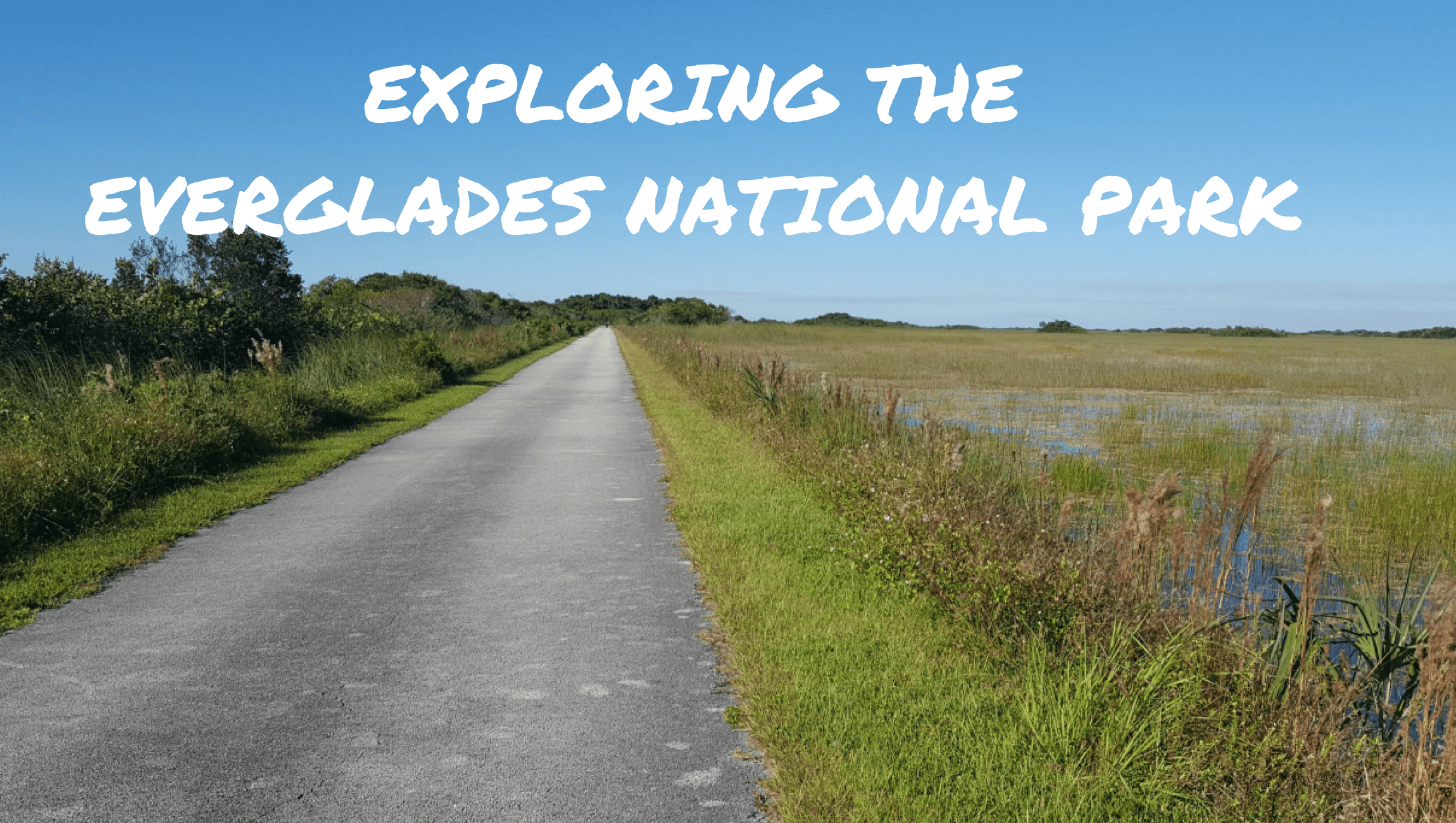 Best way to see the Everglades National Park - Couple Travel The World