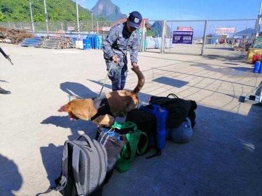 El Nido to Coron by Ferry | Providers Reviewed | Bonus $25 OFF hotels